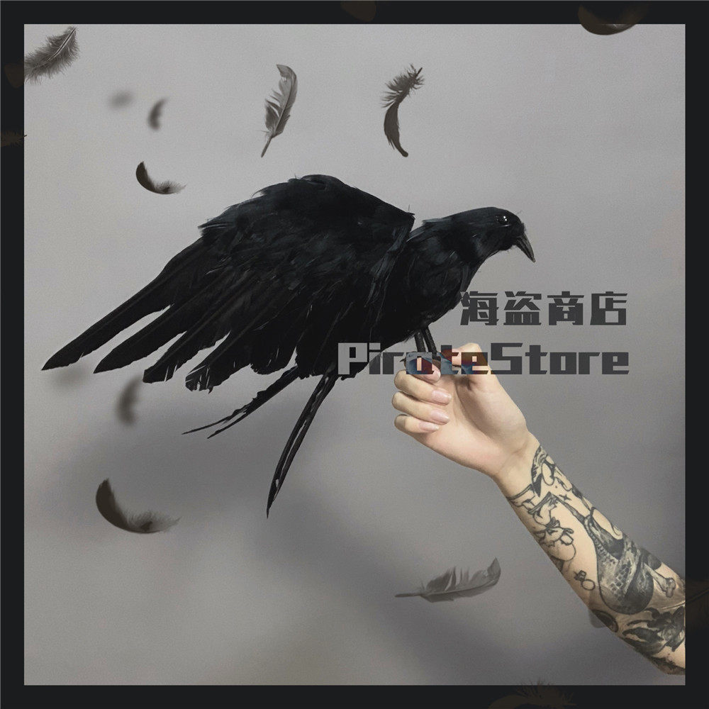 Night crow dark magic crow: gothic style cos script secret room setting ...