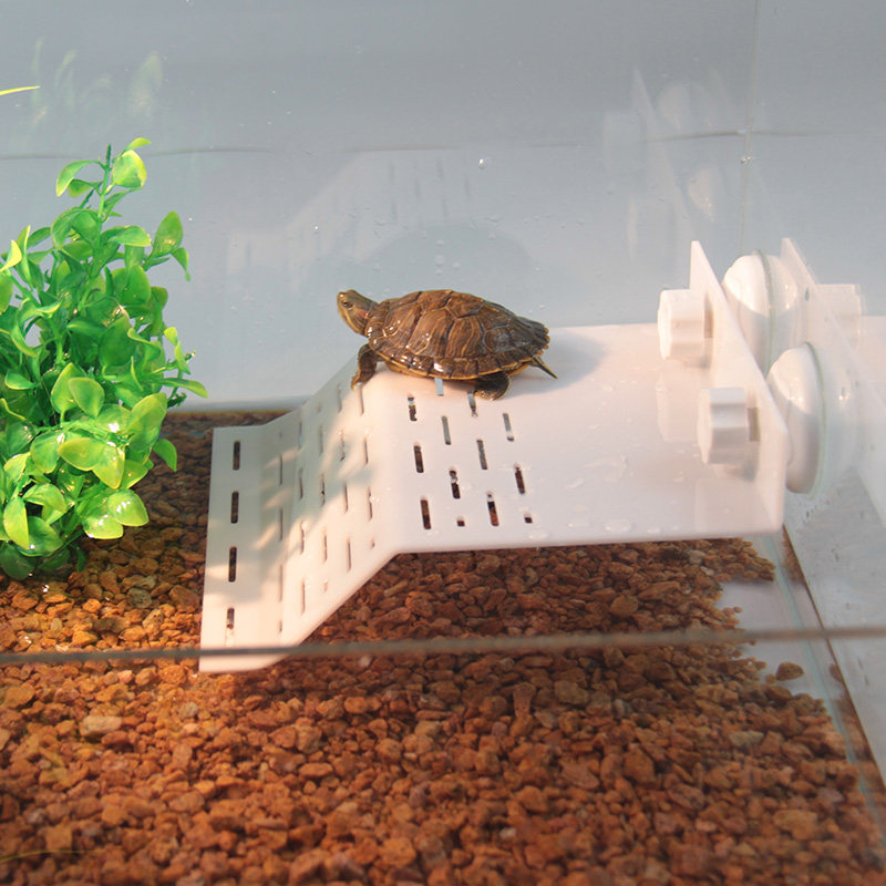 Turtle Sun Terrace Climbing and hanging wall-style Turtle Terrace ...