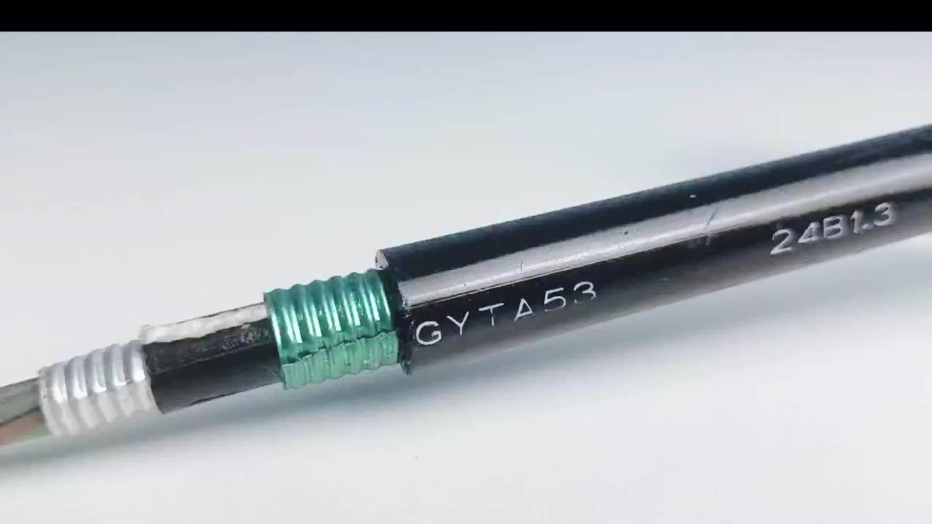 Underwater Fiber Optic 96 144 216 288 Core Submarine Single Mode Direct ...