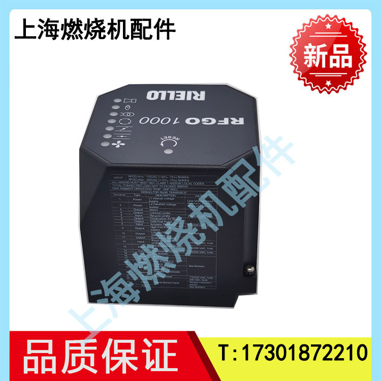 Italian RFGO 1000 RFGO-A22 Riyalo RIELLO Oil and Gas Dual Purpose ...