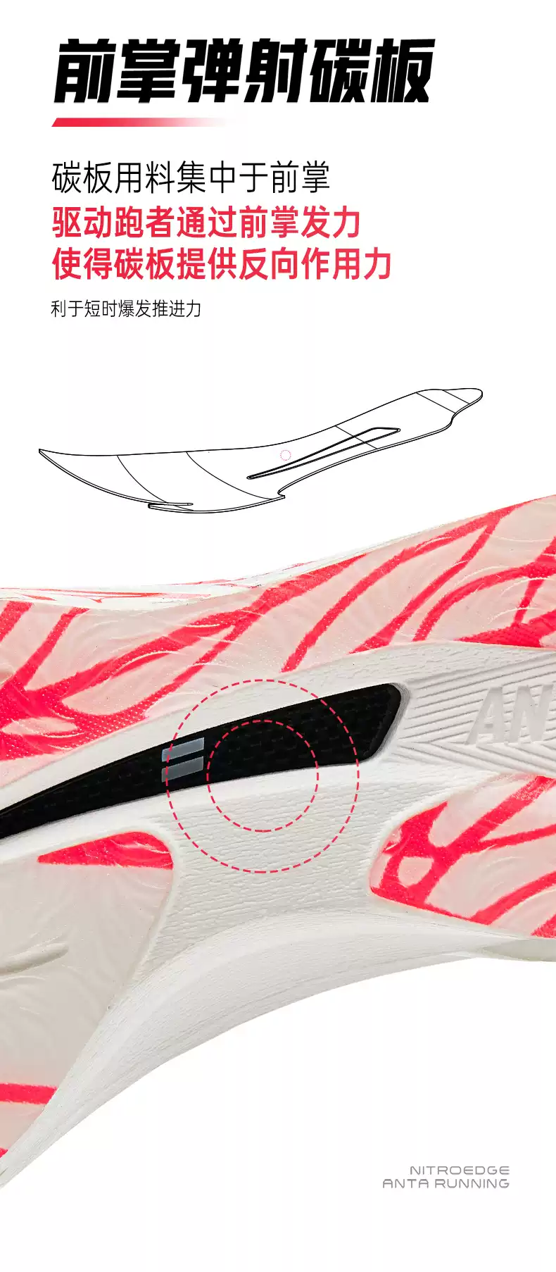 安踏C202 5代 GT PRO丨专业马拉松竞赛竞速碳板长距离男子跑步鞋-Taobao