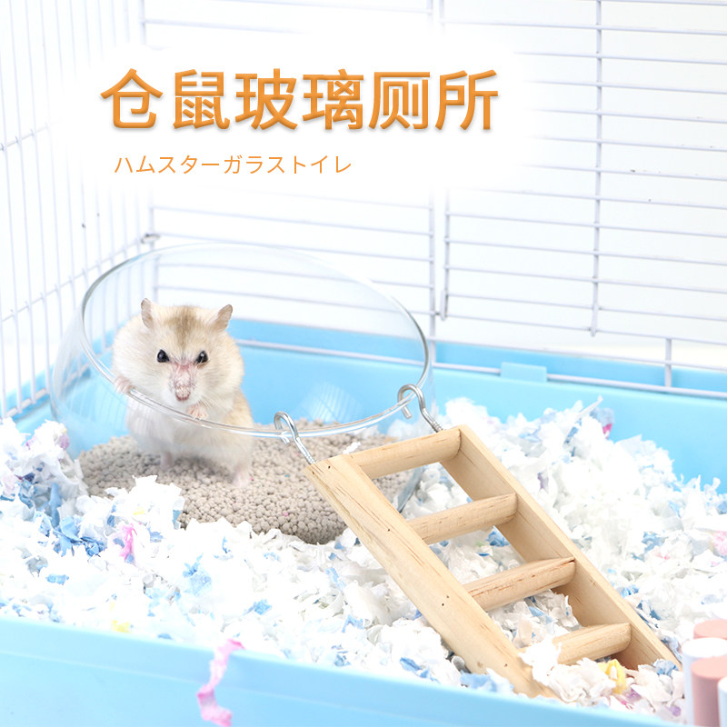 仓鼠厕所盆大揭秘：透明玻璃浴室，让清洁变得轻松又有趣！ 🐾-厕所-淘宝好物网