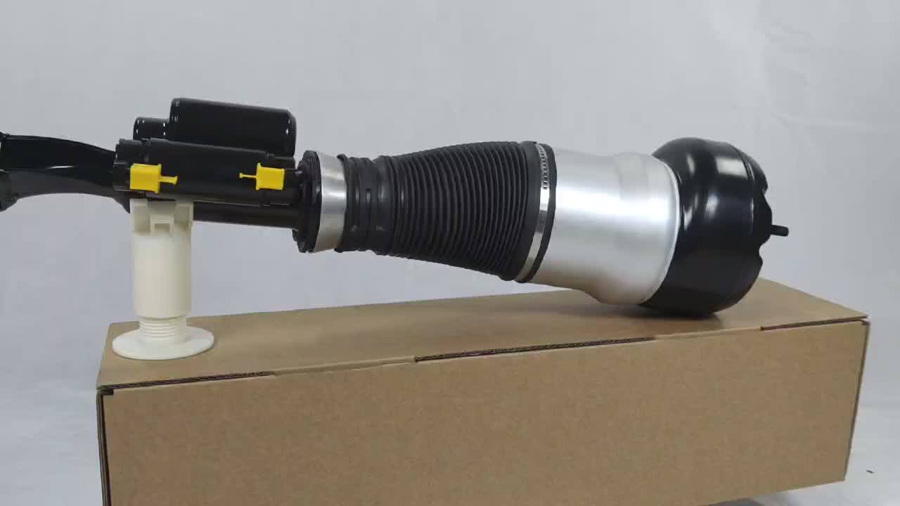Factory Direct Sales Car Suspension 2223206901 Air Shock Absorber ...