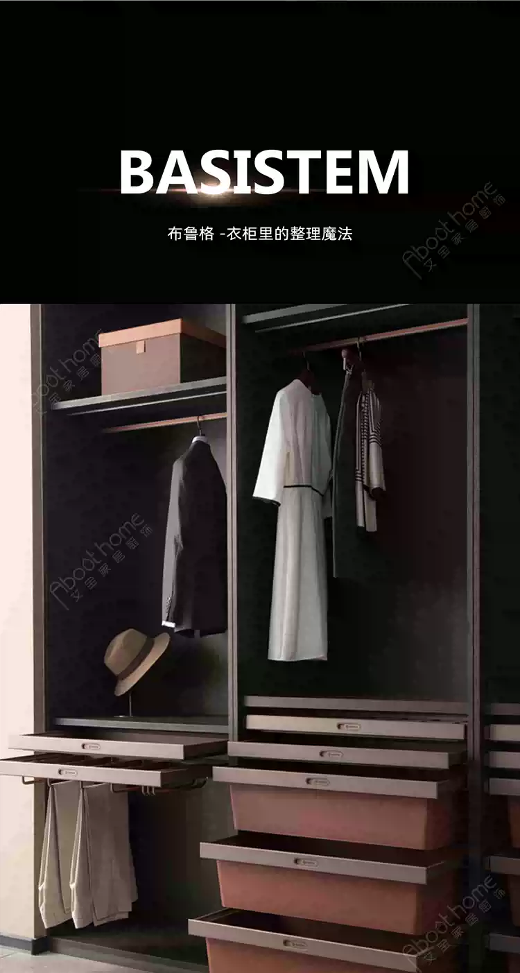 瑞士BASISTEM衣柜收纳系统 高柜升降衣架胡桃木裤架 衣帽间智能收纳解决方案