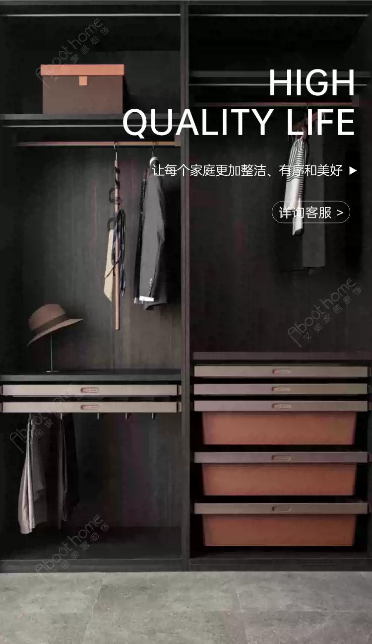 瑞士BASISTEM衣柜收纳系统 高柜升降衣架胡桃木裤架 衣帽间智能收纳解决方案