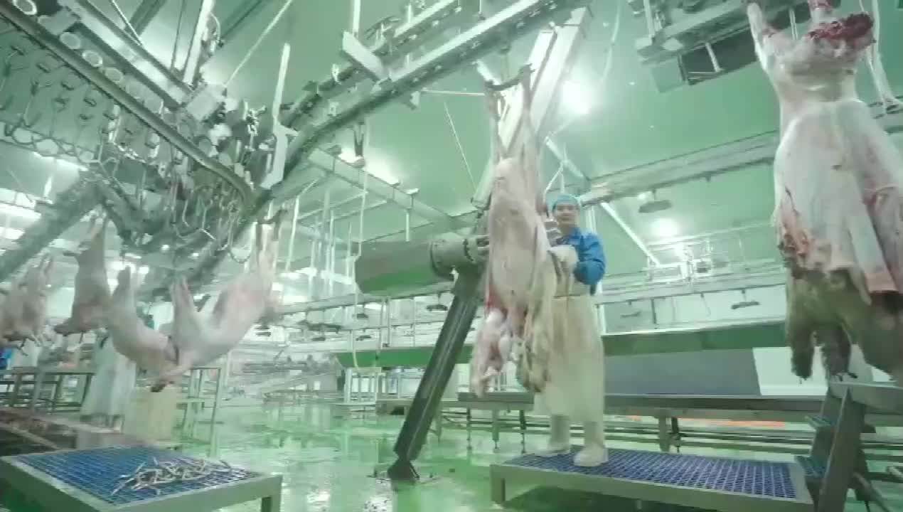 Sheep Abattoir Goat Skin Peeling Machine Hydraulic Cattle Horse Dehider ...