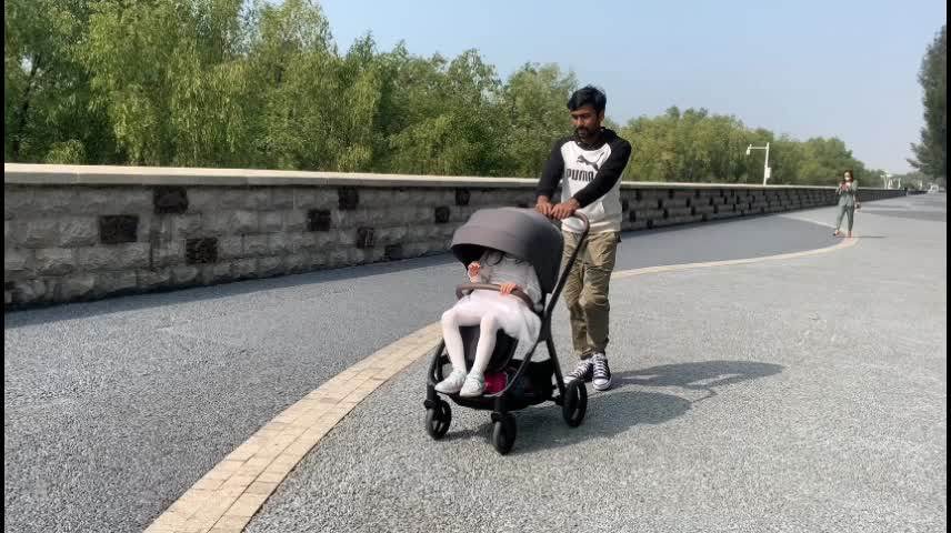 One Handed Stroller | rigonidiasiago-usa.com