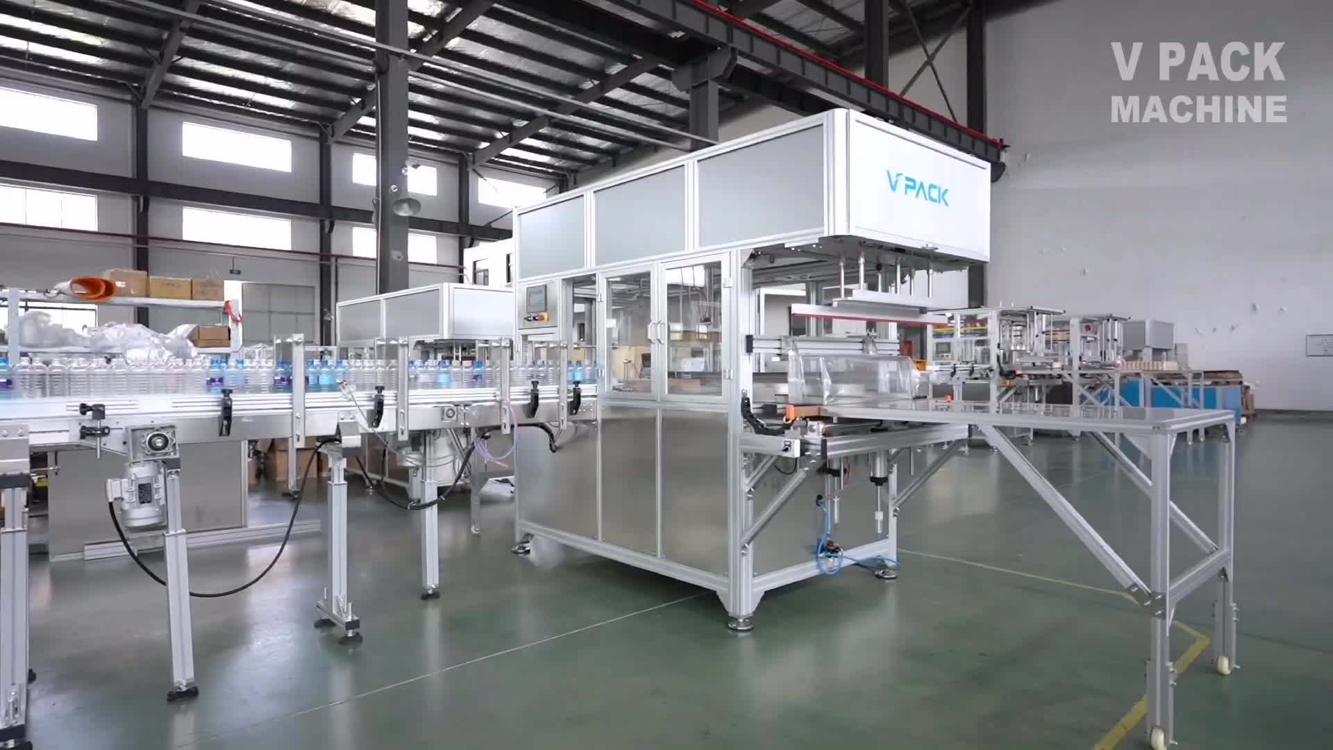 Vpack Double Rows Feeding Conveyor 6000bph Adjusted Speed Semi-auto ...