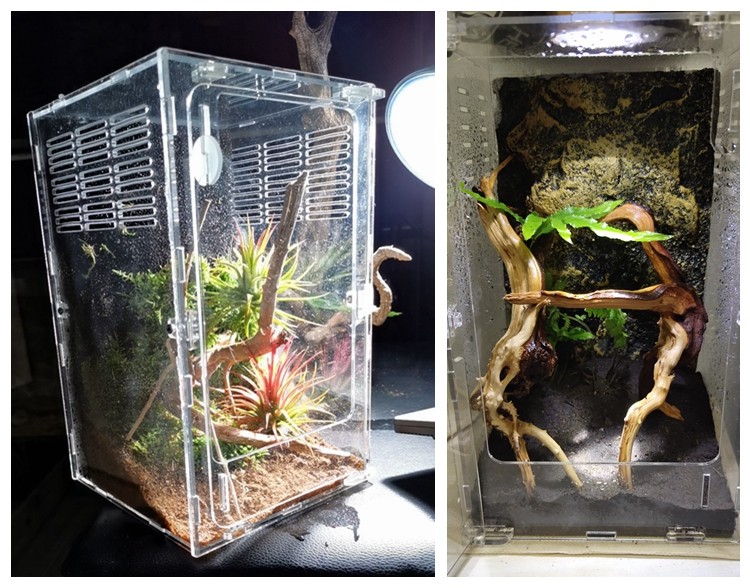 [USD 26.03] Acrylic Reptile Box With Mesh Spider Lizard Chameleon for ...