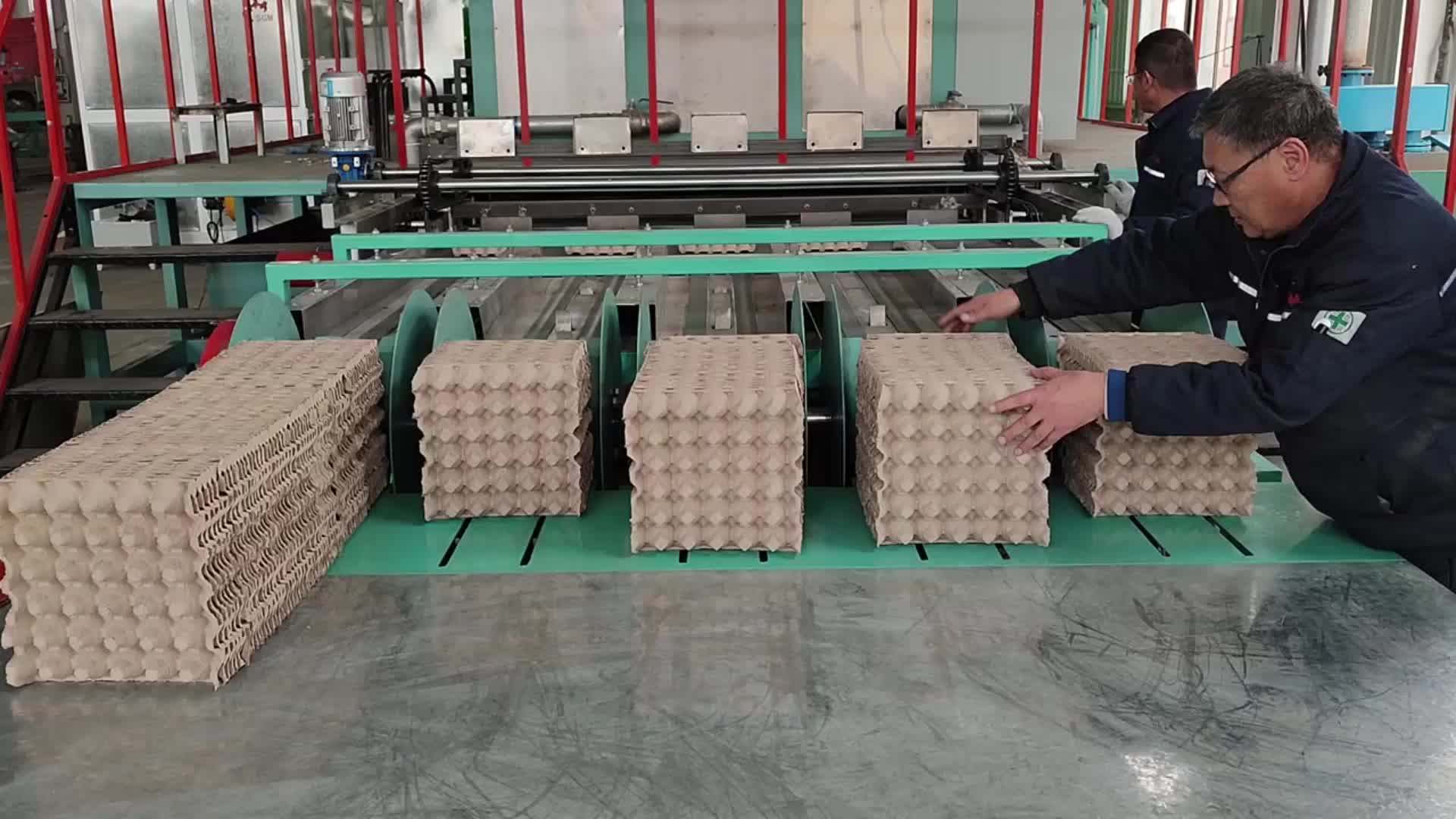 Automatic Paper Egg Tray Crate Carton Production Making / Printing ...