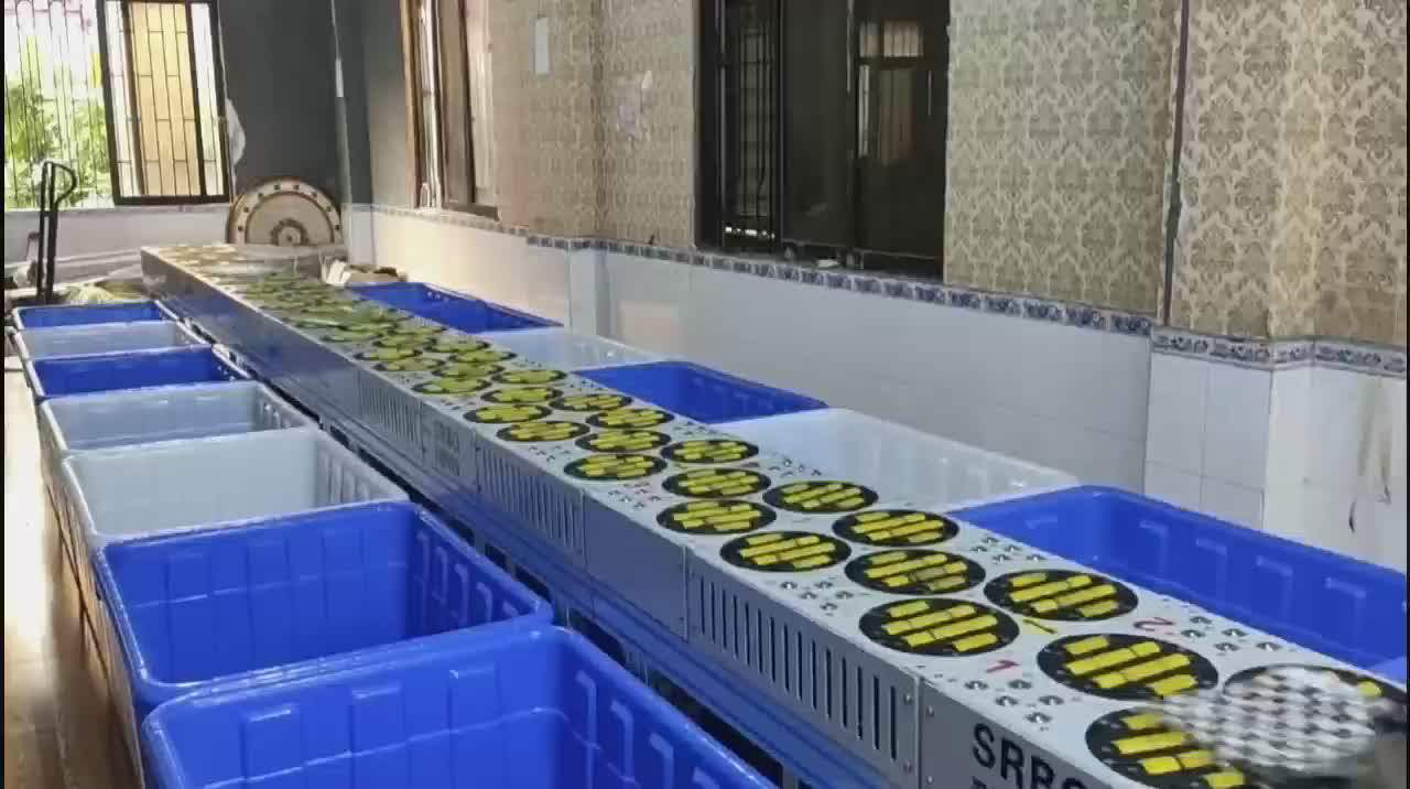 Automated Conveyor Sorting System Machine Warehouse Parcel Parcel ...