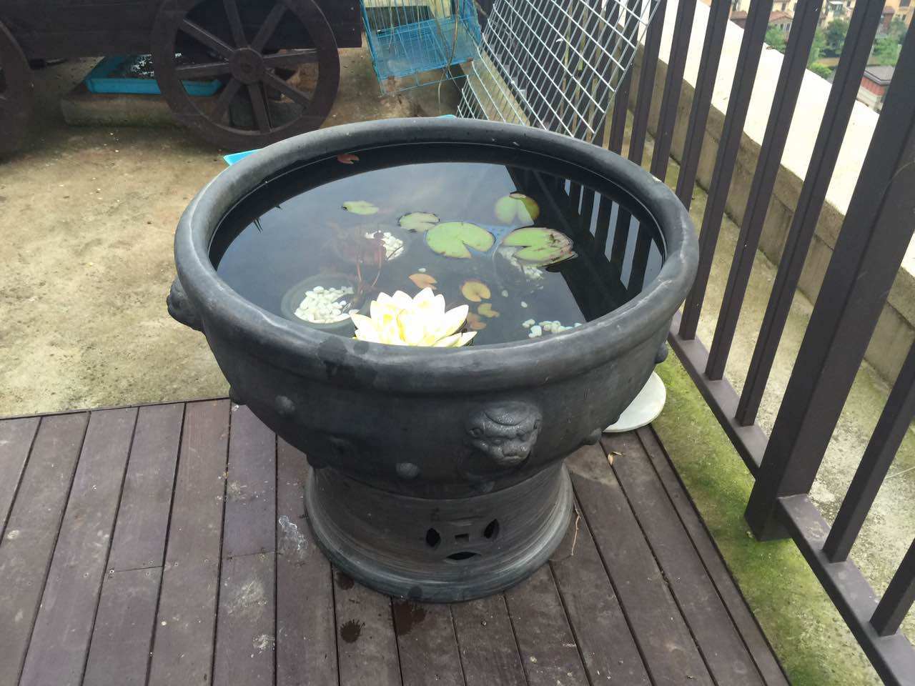 [USD 198.39] Mind pot fish tank old Beijing fish pot ceramic pot lotus ...