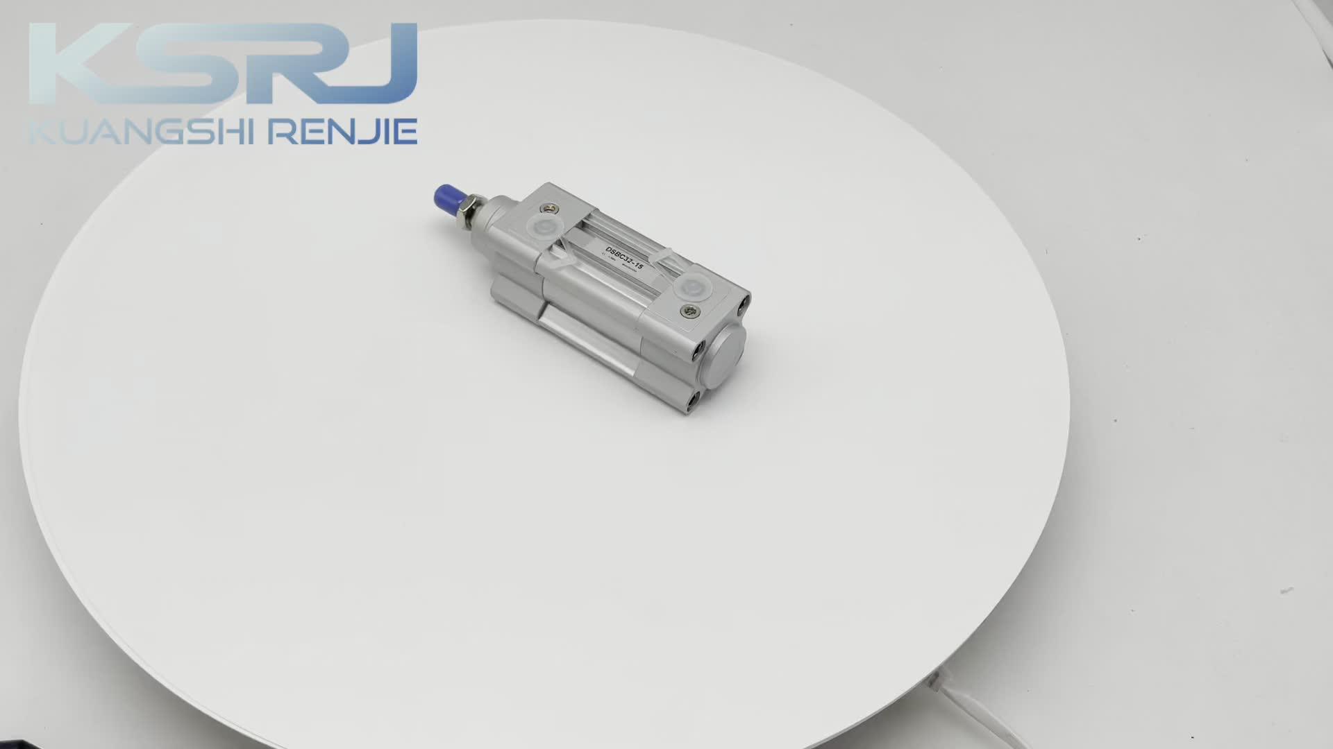 Festos Type Dsbc-c Series Double Acting Iso 15552 Iso 6431 Vdma 24562 ...