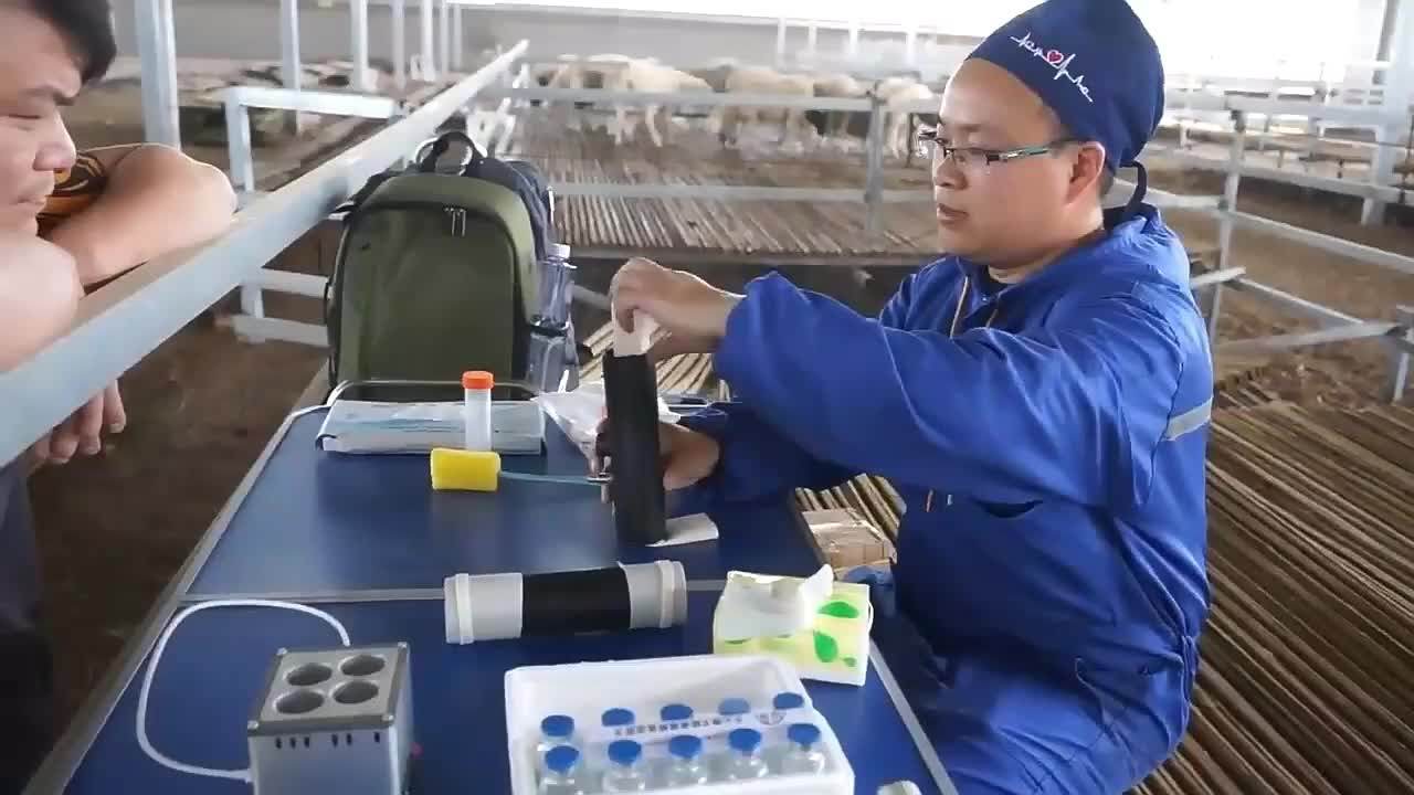 Hot Sale Double-ball Tube Set Of Veterinary Cattle And Sheep Semen ...