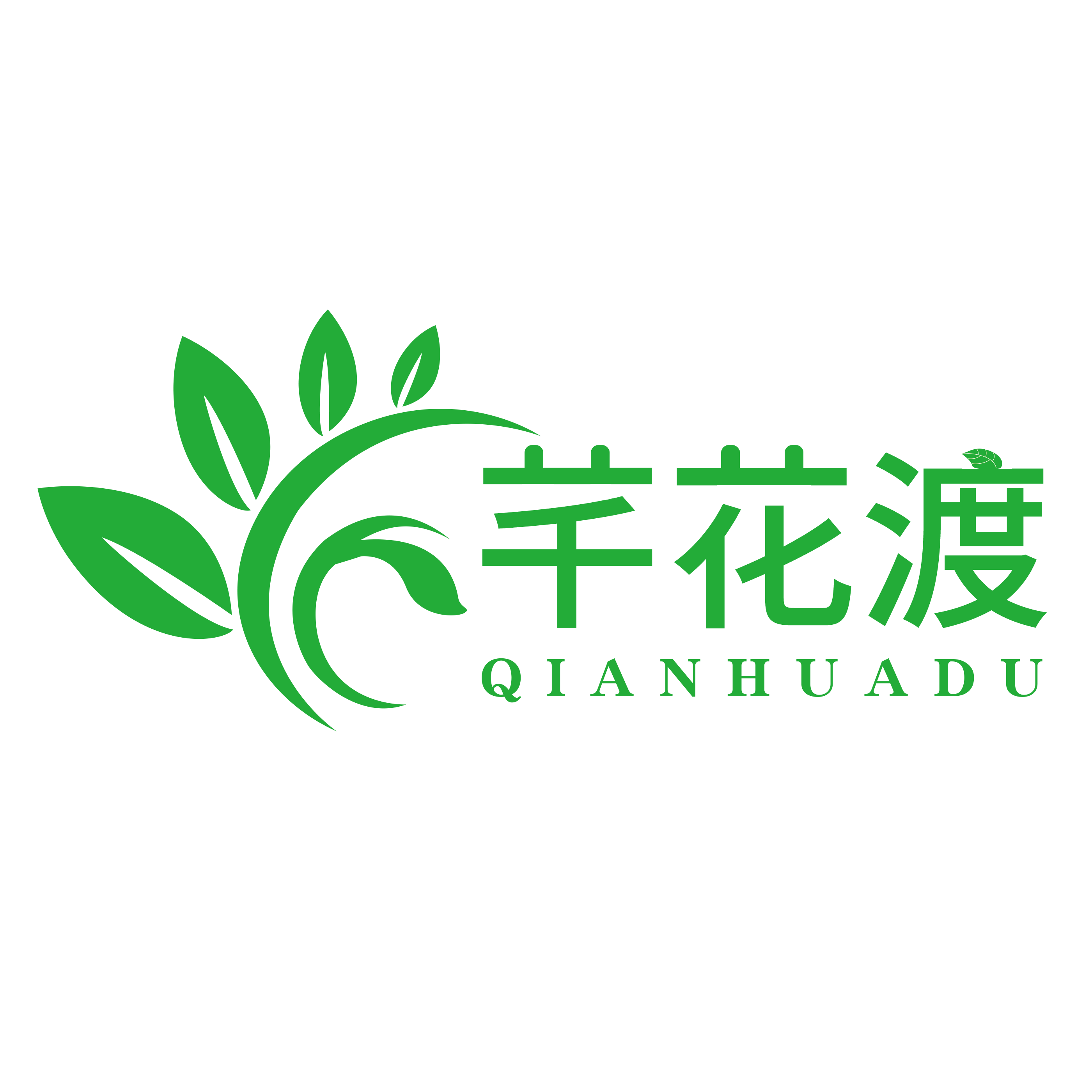 芊花渡