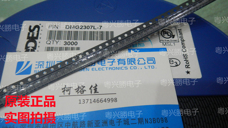 F2410 2A TR2/6125FA2A直插自恢复保险丝，环保安全的选择？🤔-保险丝-淘宝好物网