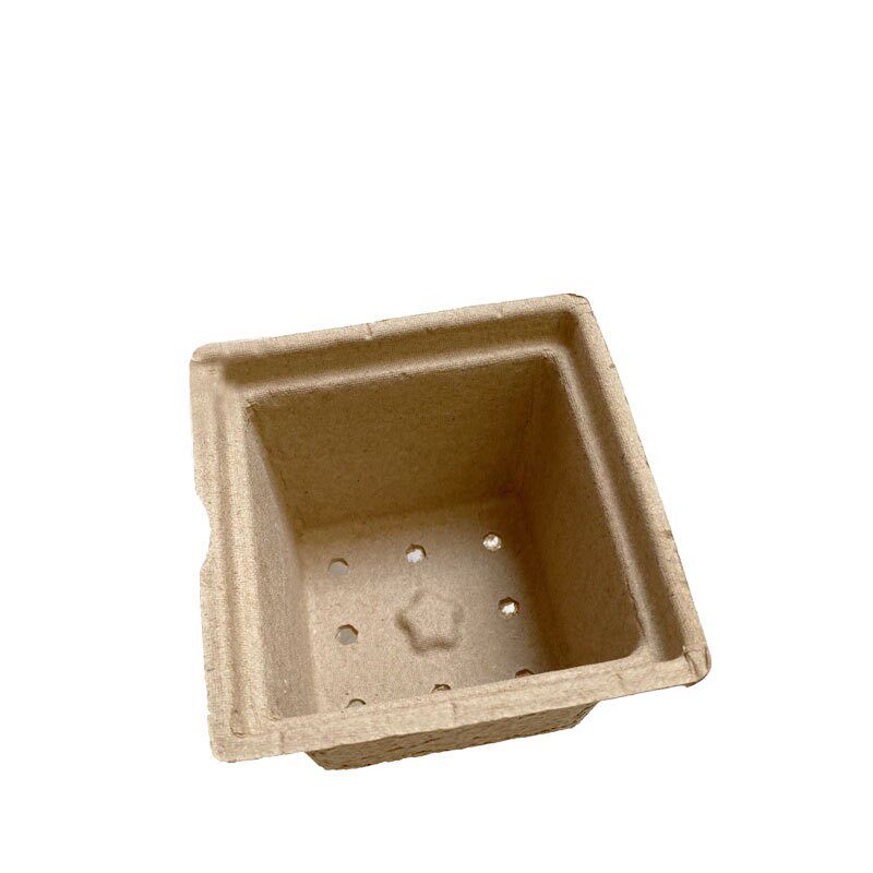 🌱 [must-have for starting school] biodegradable seedling pot with lid ...