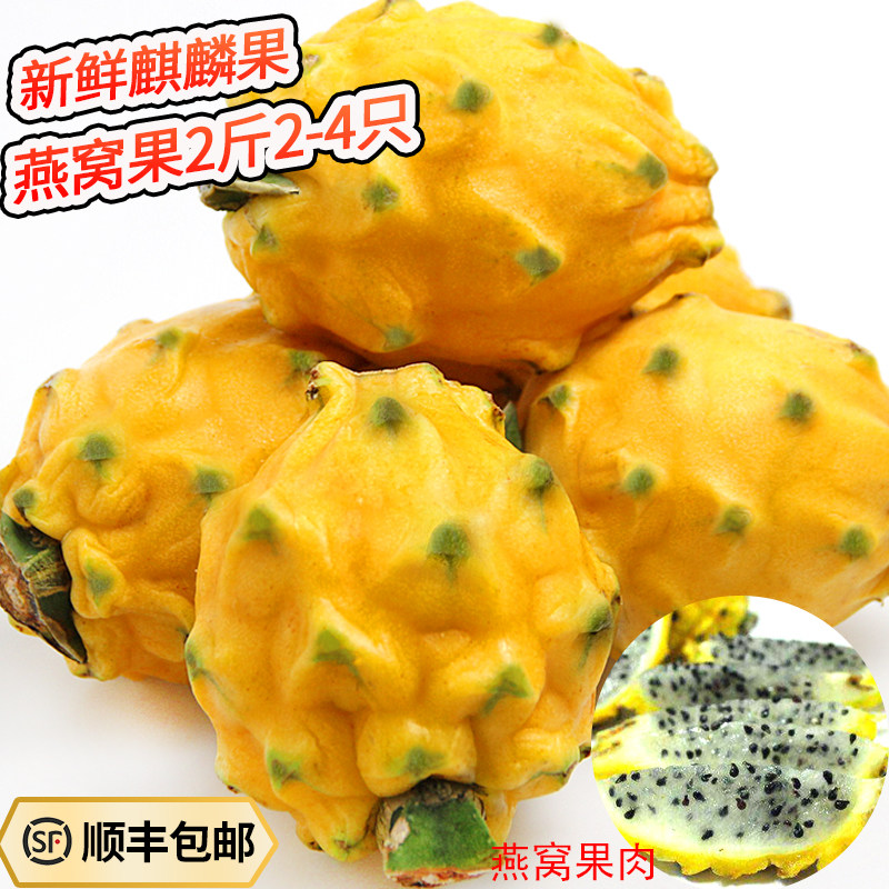 [USD 100.87] Fresh Kirin Fruit Bird's Nest fruit 2 kg pack of 2~4 ...