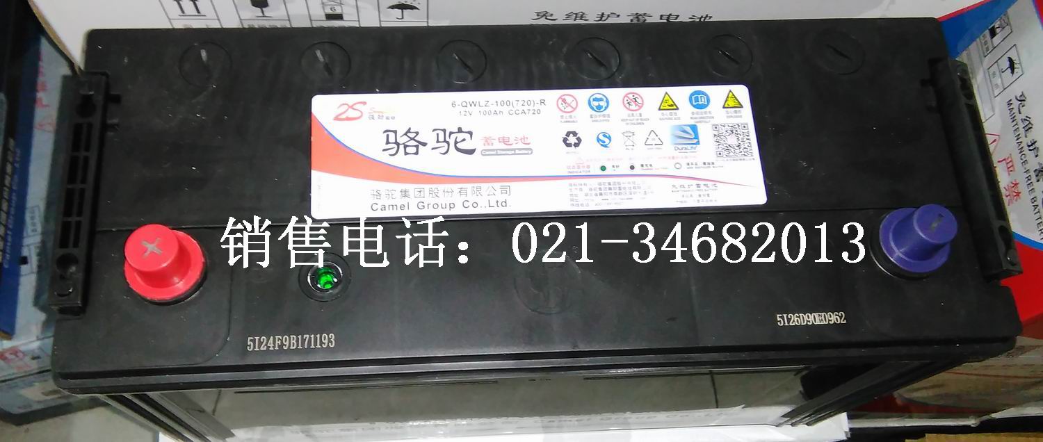 Camel battery 6-QWLZ-100 maintenance-free 12V100AH battery generator battery