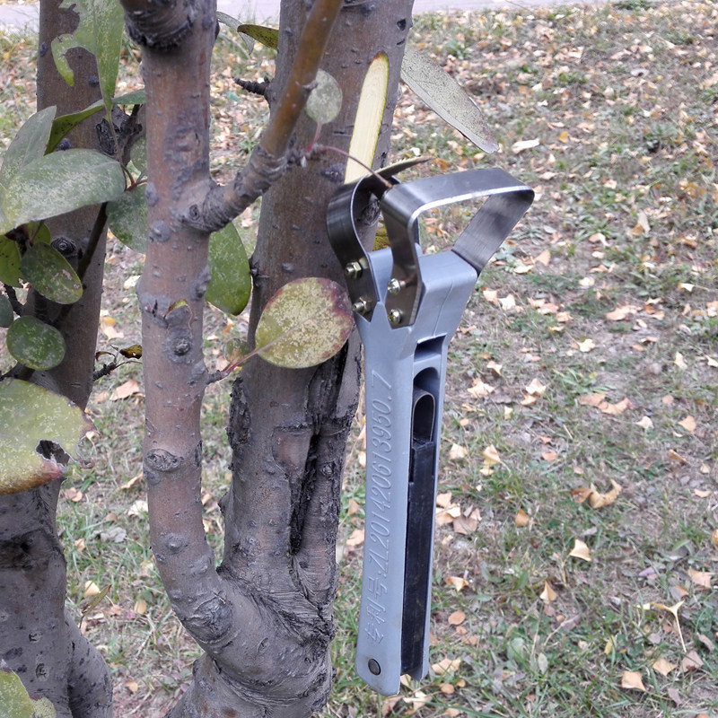 [USD 6.58] Scrapering tree scrapering tree scrambling knife rotting ...