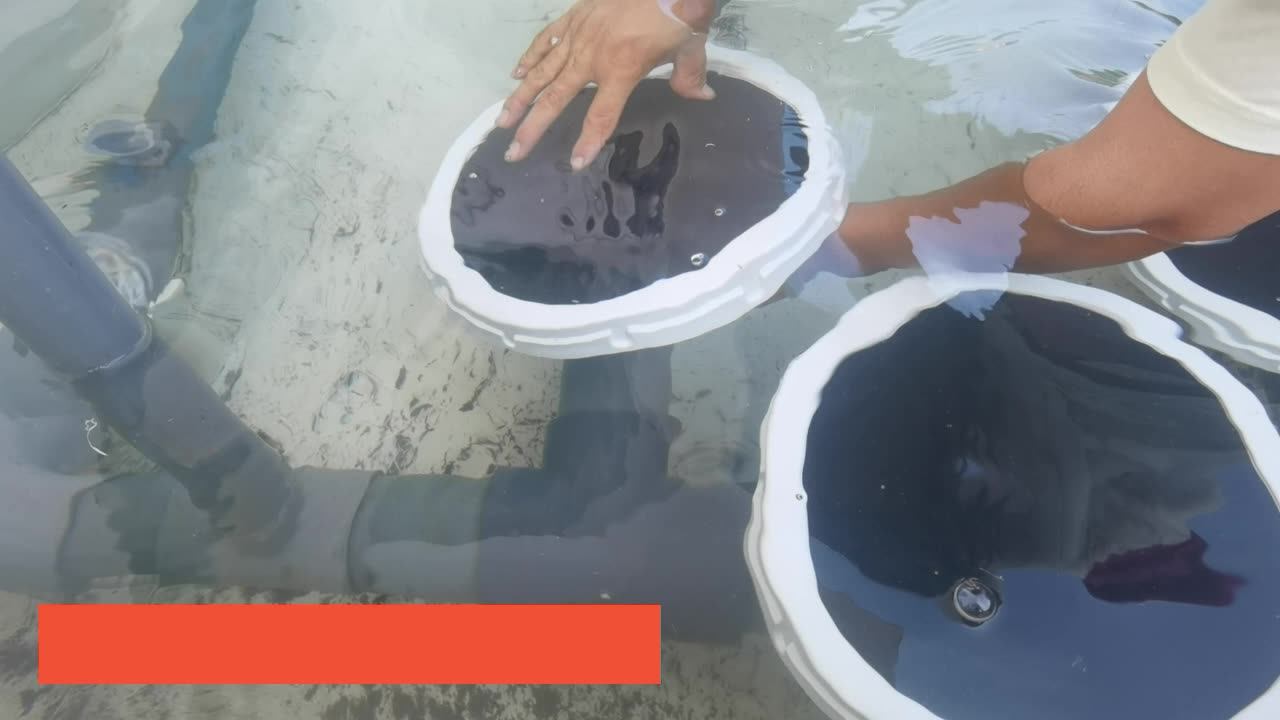 High Flow Fine Bubble Disc Circular Air Diffuser Fine Bubble Disc ...