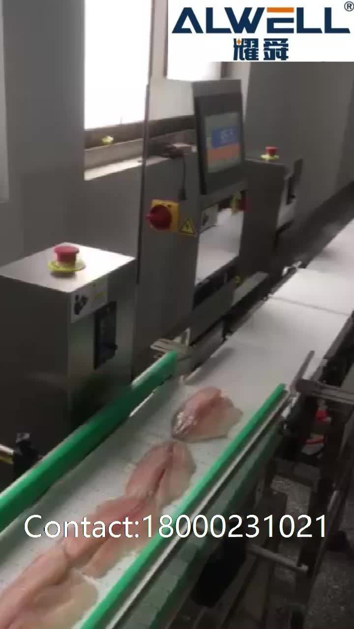 Automatic Conveyor Belt Fish Shrimp Sorting Machine Weight Sorting ...