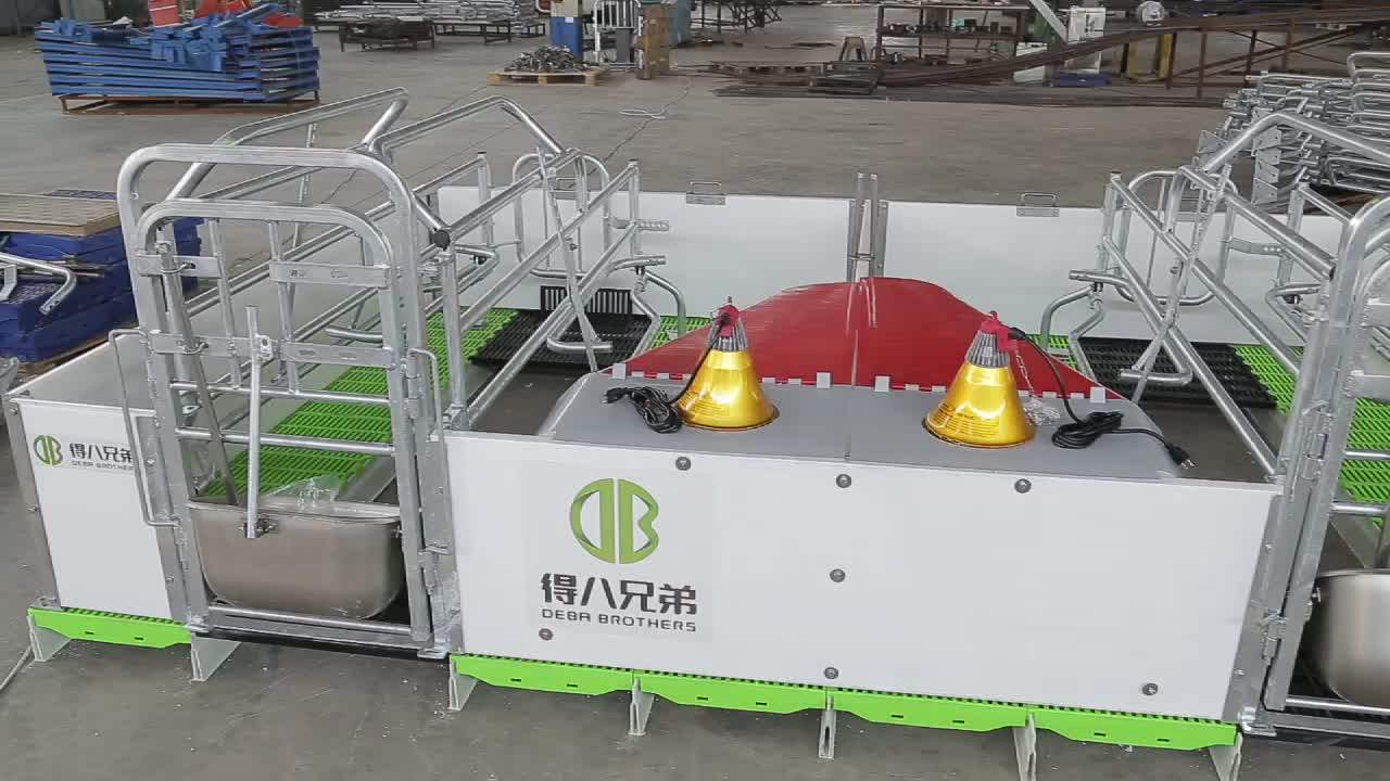 Pig Farming Equipment Farrowing Crate For Pigs - Buy Farrowing Crates ...