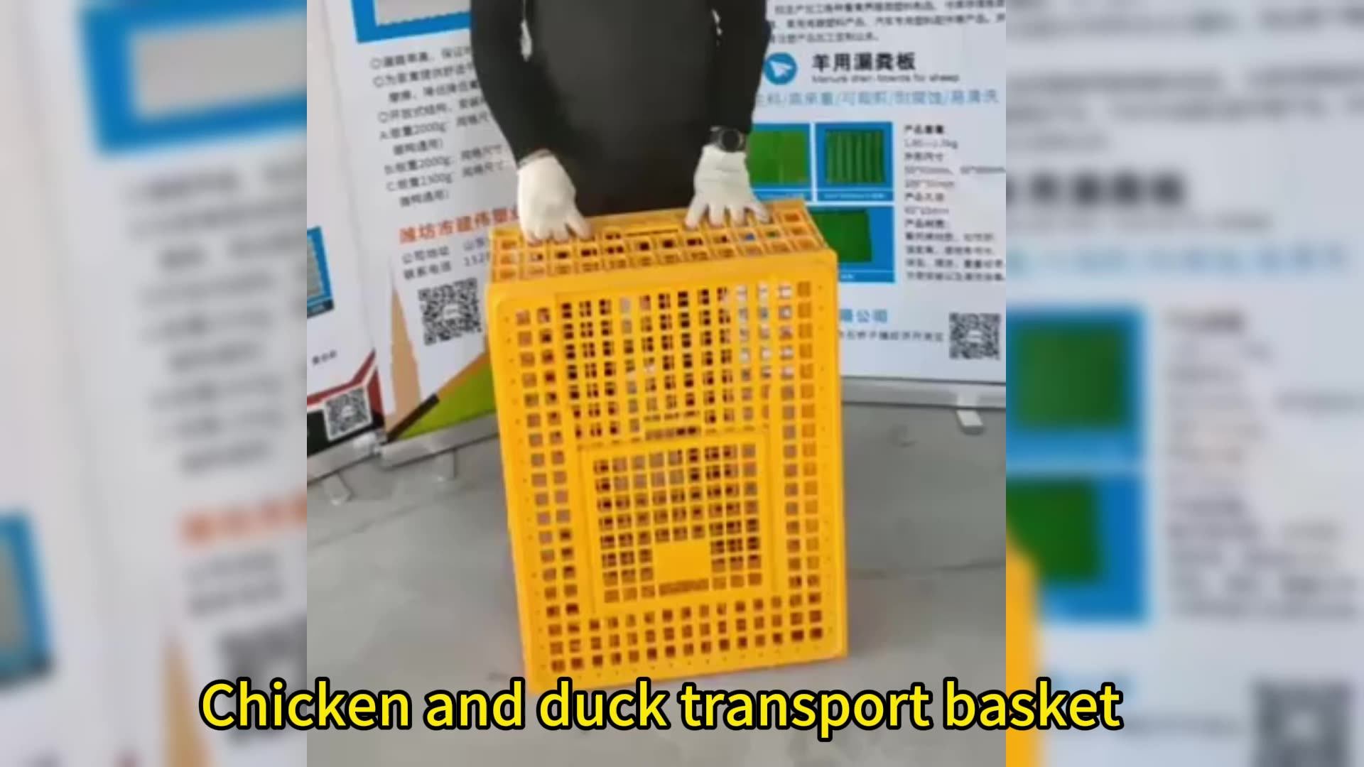 High Quality Chicken Transport Crates 3 Dvirka Baby Chicken Poultry ...