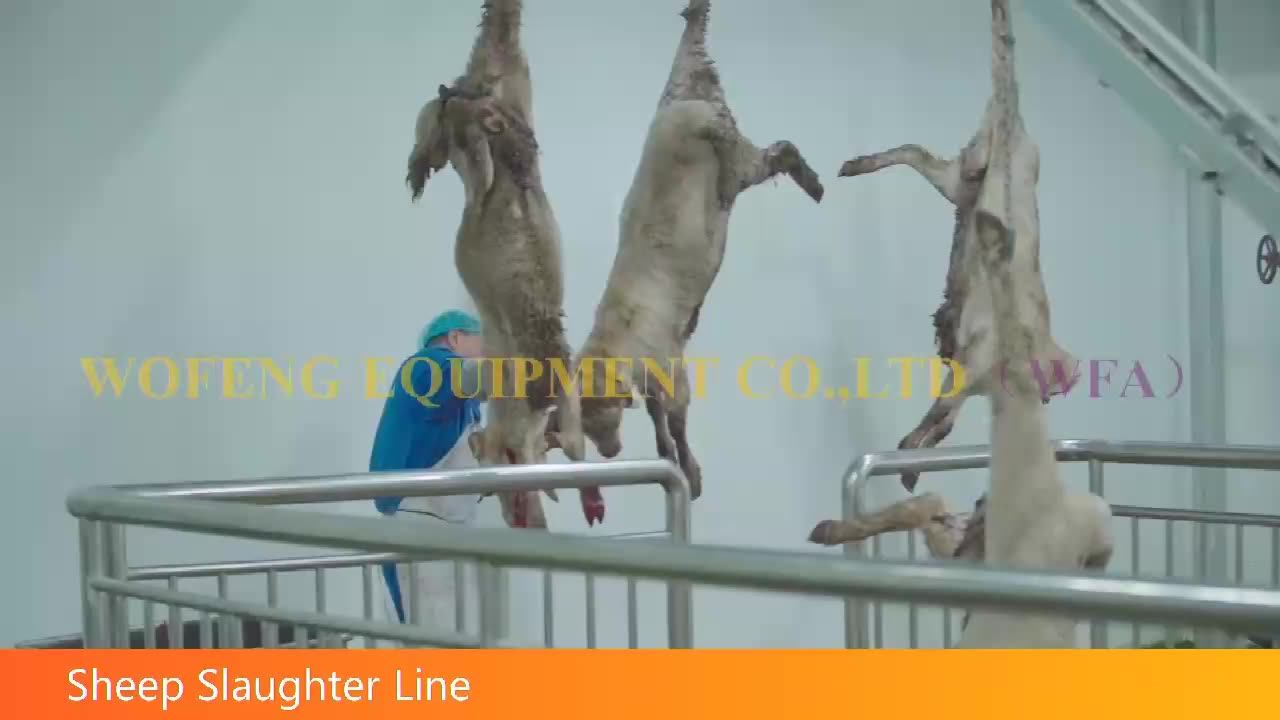 Sheep Slaughter Line Lamb Slaughterhouse 500 Head Per Day Goat Abattoir ...