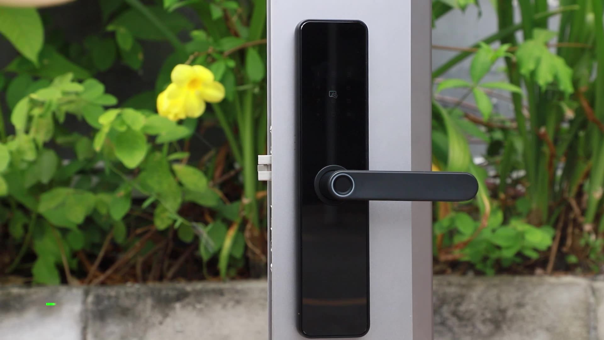 Security Digit Electric Electronic Handle Digital Tuya Ttlock ...