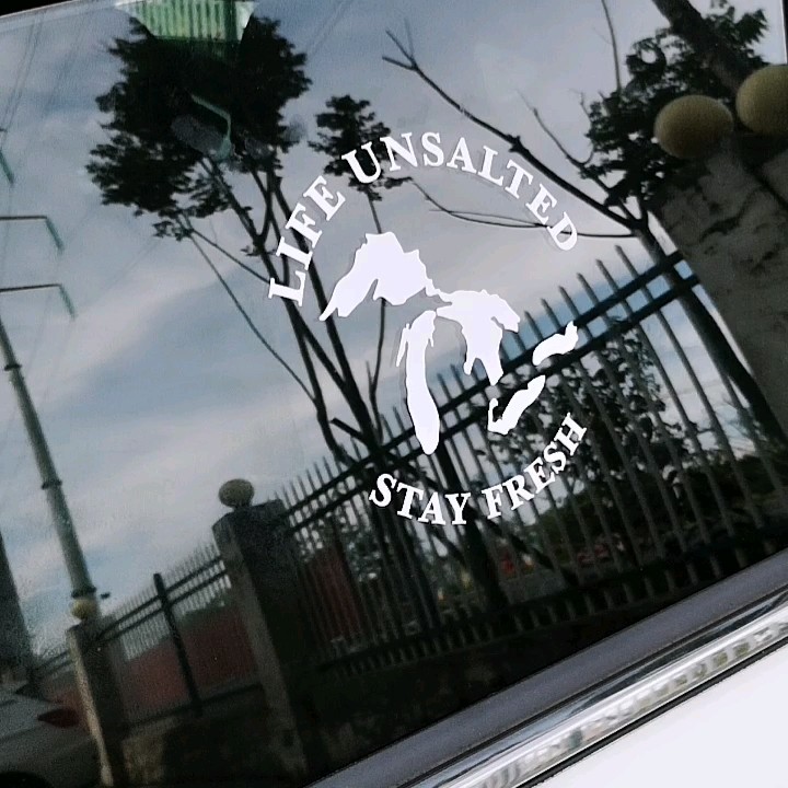 Outdoor Weatherproof Vinyl Color No Fading Transfer Glass Window Cut ...