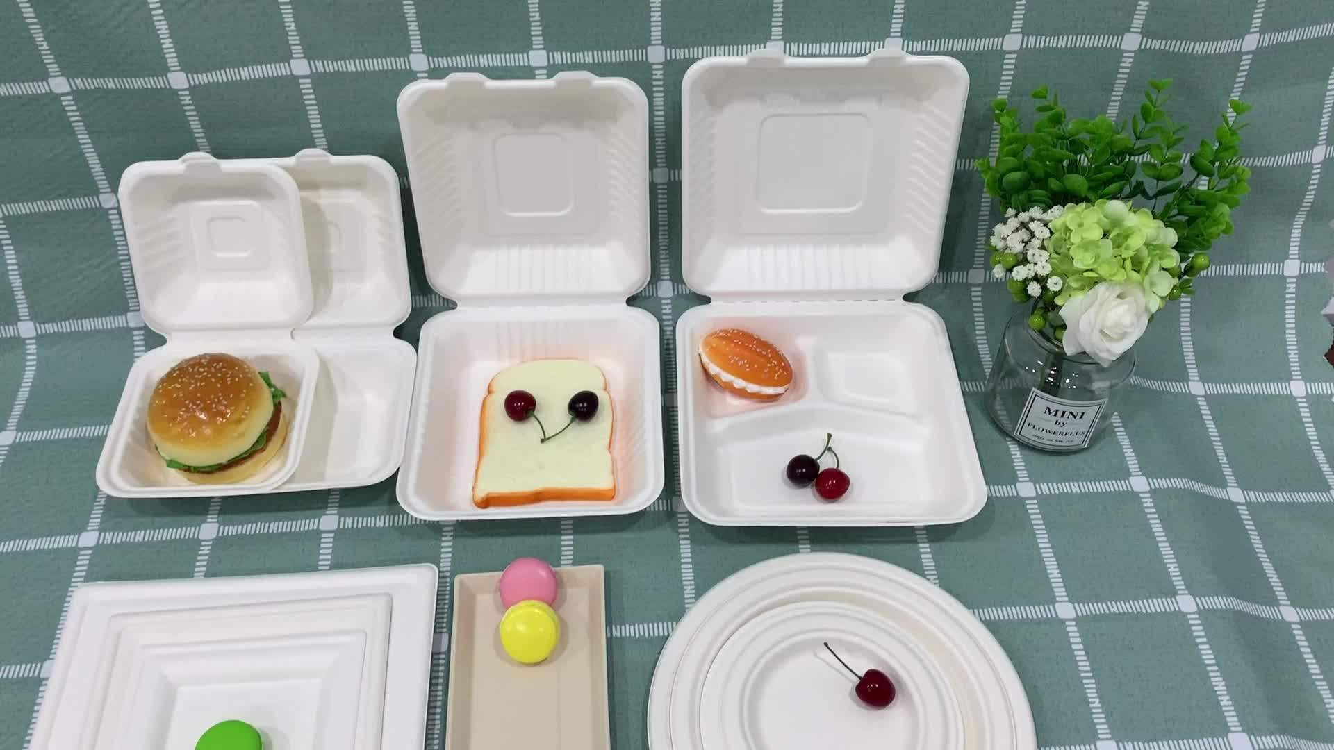 Disposable Rectangle Foldable Food Container Bagasse Packaging Box ...