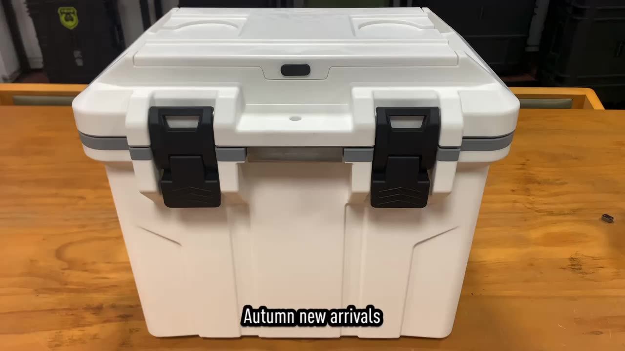 Home Made Mini 16l Plastic Rotomolded Cooler Box With Speaker New Food ...