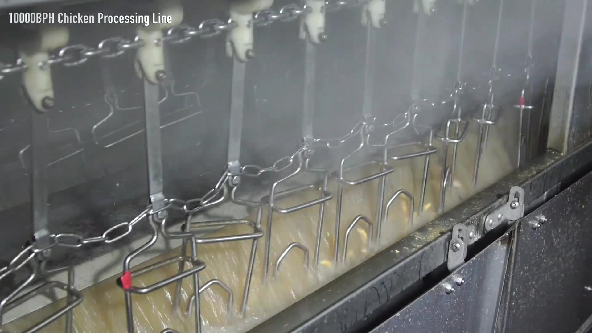 500-10000bph Automatic Poultry Chicken Cutting Processing Machine Plant ...