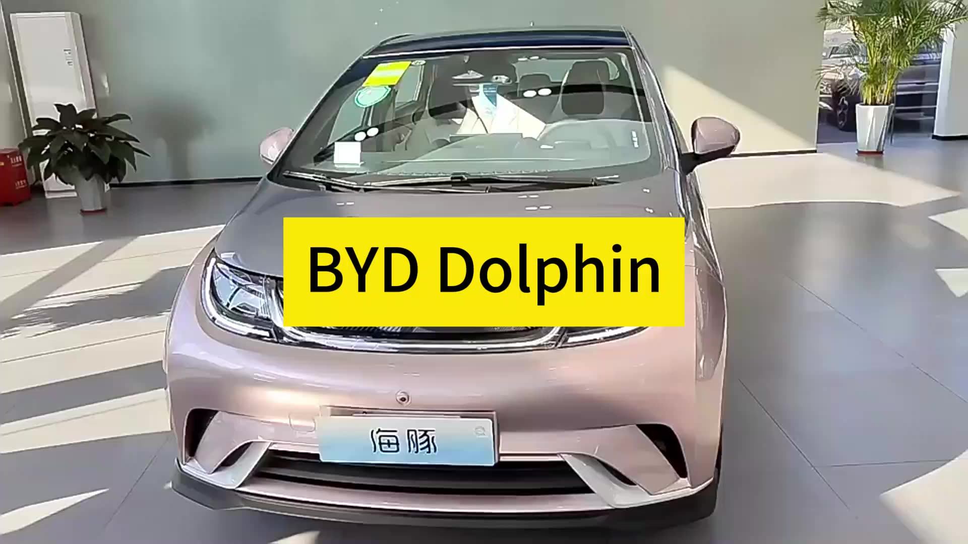 Cgc Byd Dolphin 2023 Hatchback 401km 420km Range 5 Seat Small Car Ev ...