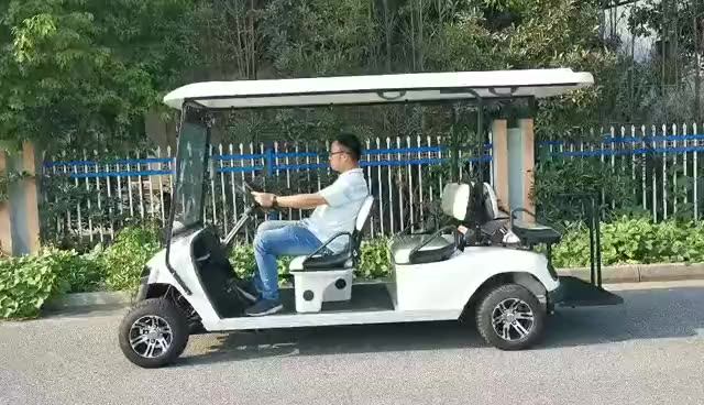 Good Performance 2 Seated 2 Person Electric Golf Cart 2 Seater Gasoline ...