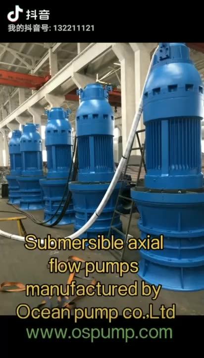 Vertical Axial Flow Submersible Pump In Ocean Pump Industry - Buy ...