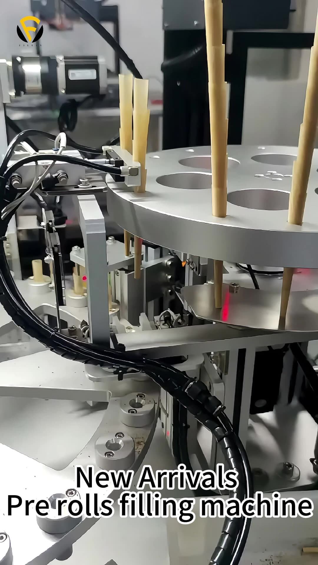 2024 New Arrival France Netherlands Bloom Dutch Fold 109mm 98mm Pre ...