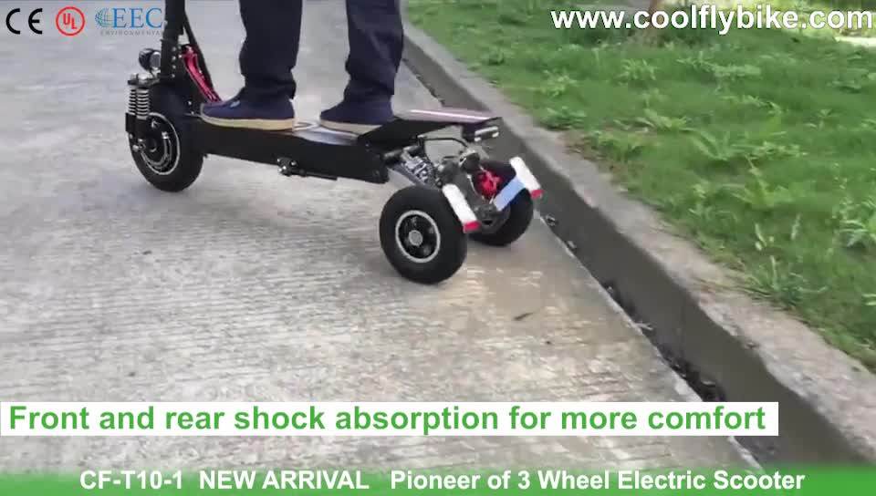 Best Easy Rider Electric Scooter 48v 800w 1000w Electric Stand Up ...