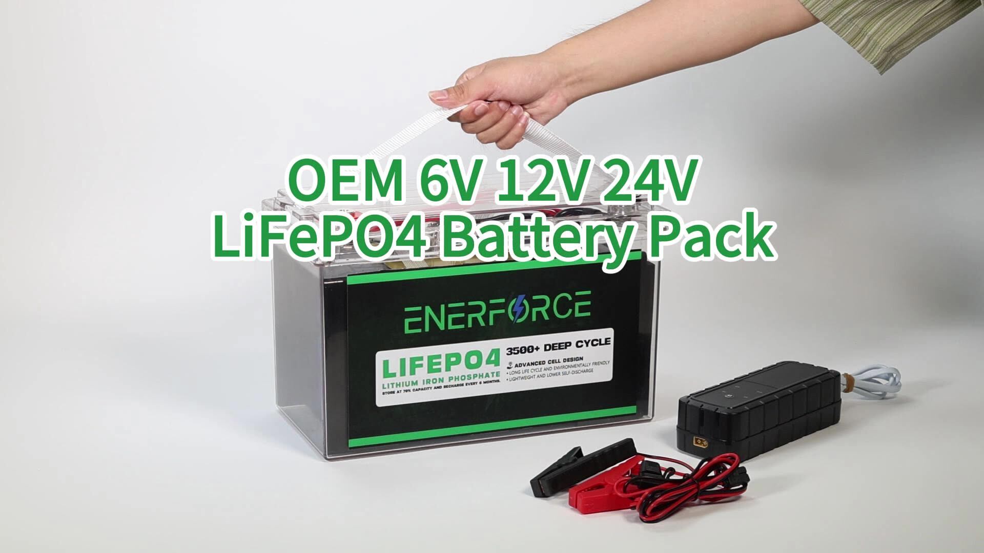 Enerforce Transparent Shell Smart Bms Lifepo4 12v 24v 100ah 200ah ...