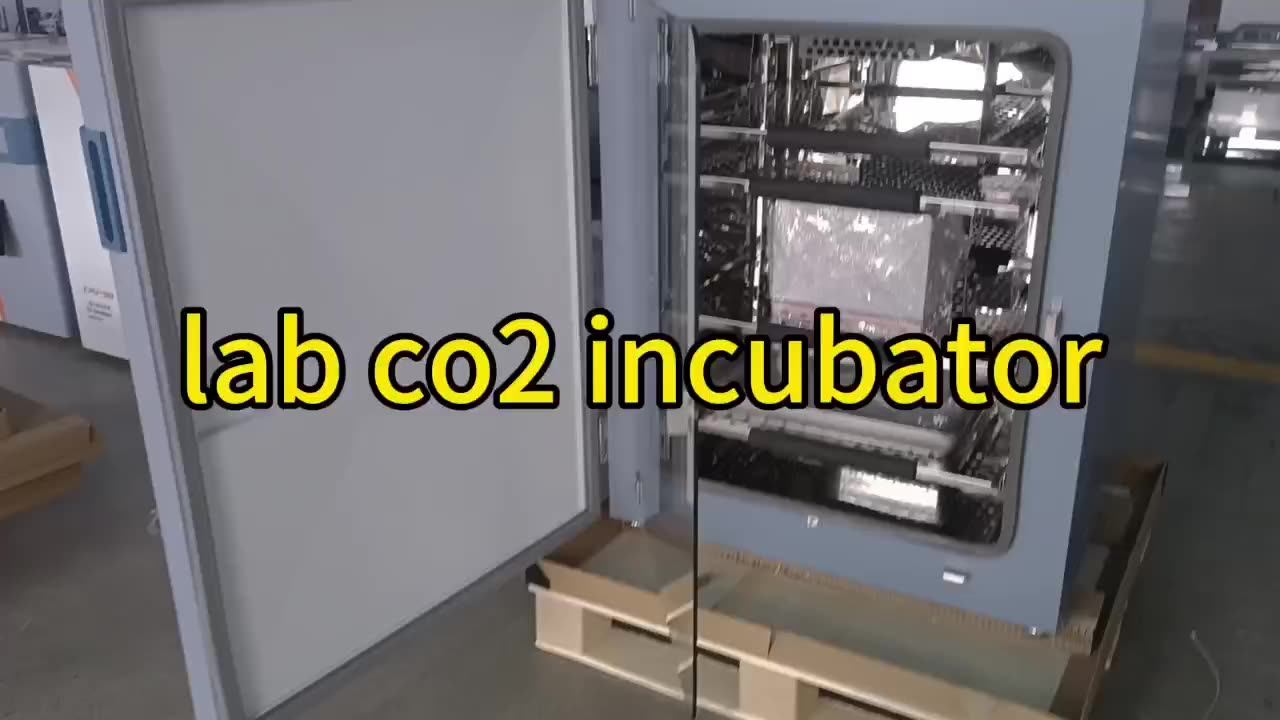 Laboratory Medicine Digital Cell Co2 Incubator 37 C 5% - Buy Co2 ...