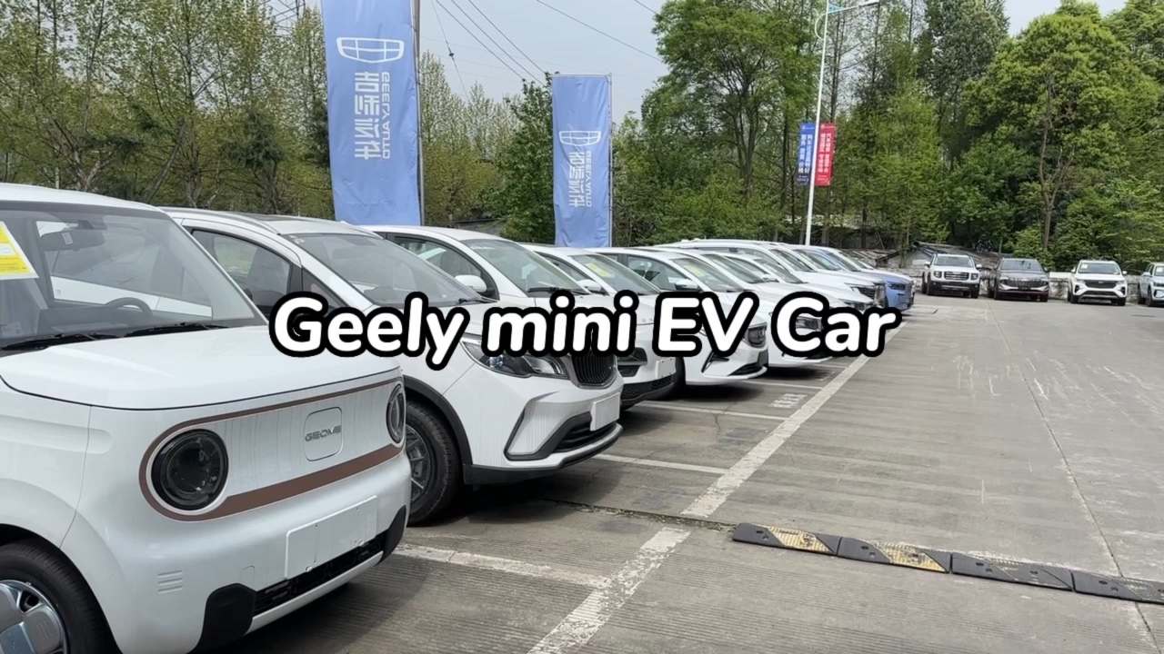 Geely Panda Mini 2023 Ev Car 120km 200km Cruising Range New Energy Vehicles 0km Used Electric ...