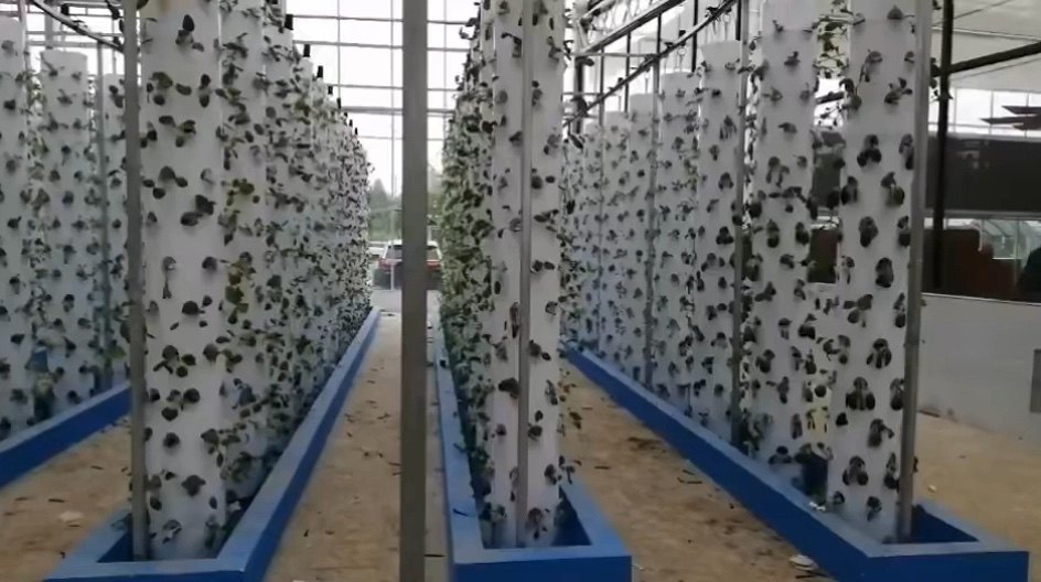 Vertical Column Hydroponic Aeroponic Planting System Aeroponic Tower ...