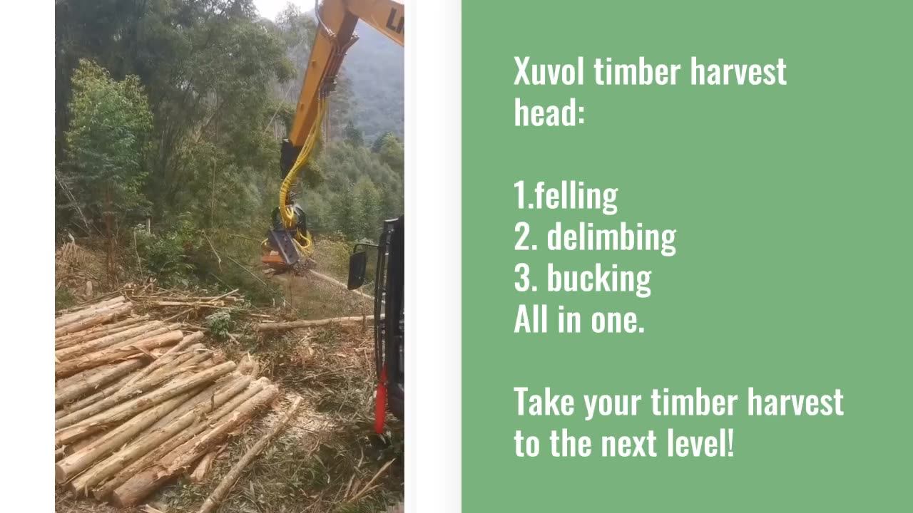 Cut Max 650mm Treeharvester,Felling,Delimb,Bucking All In One,Heavy ...