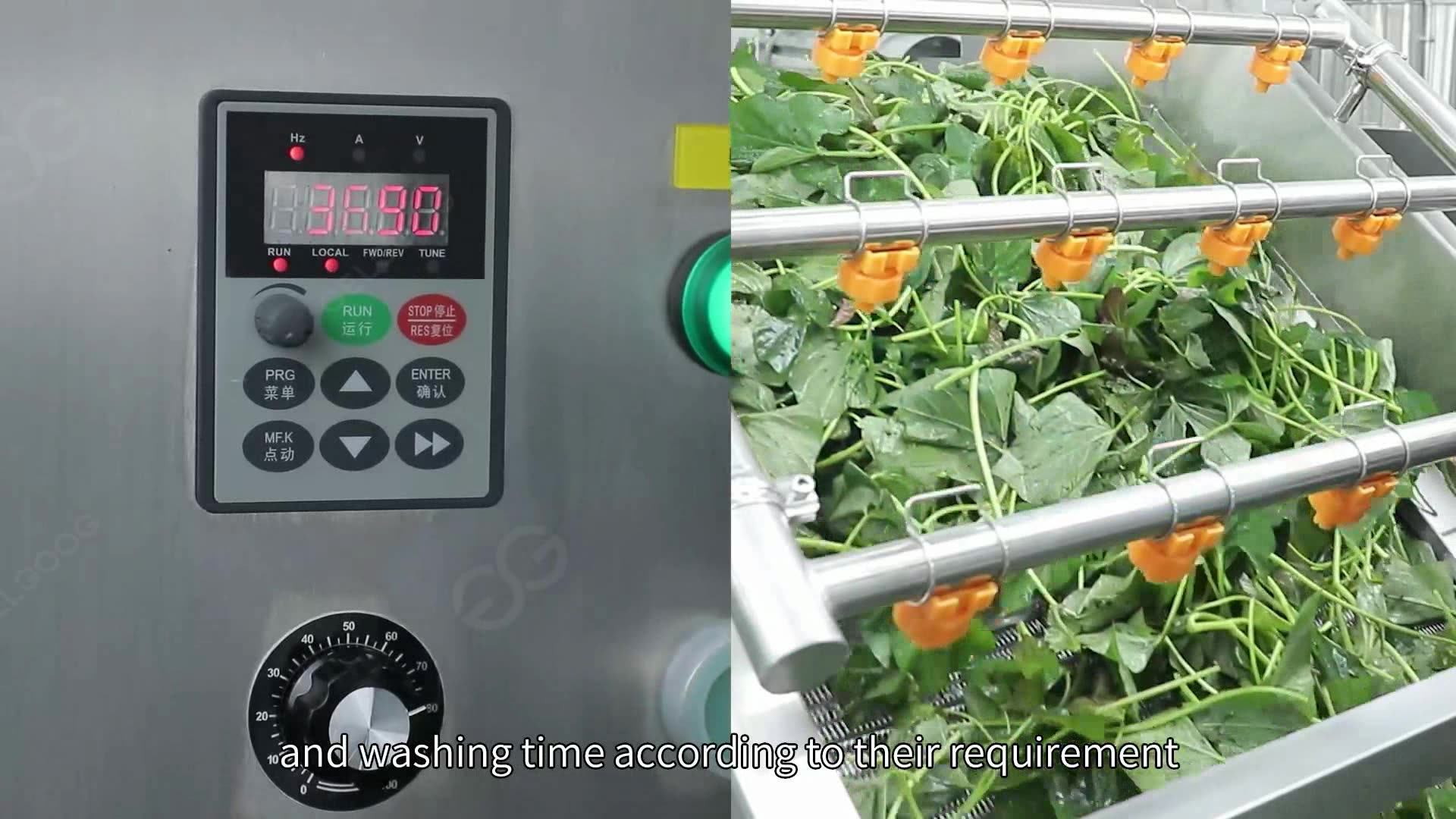 High Quality Bubble Washing Shrimp Pepper Cleaning Fruit Tomatoes ...