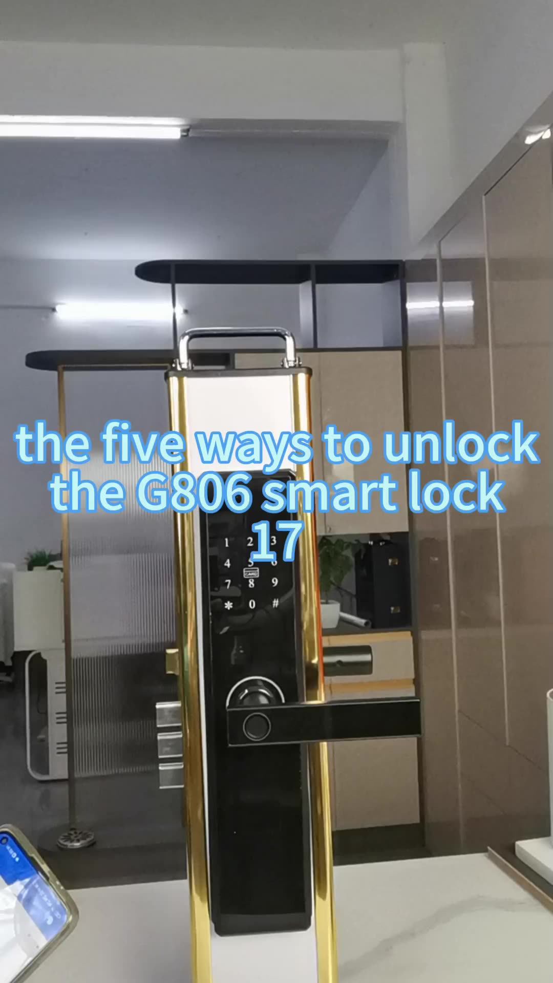 G806 Smart Door Lock Fingerprint Ic Card Password Smartphone App ...