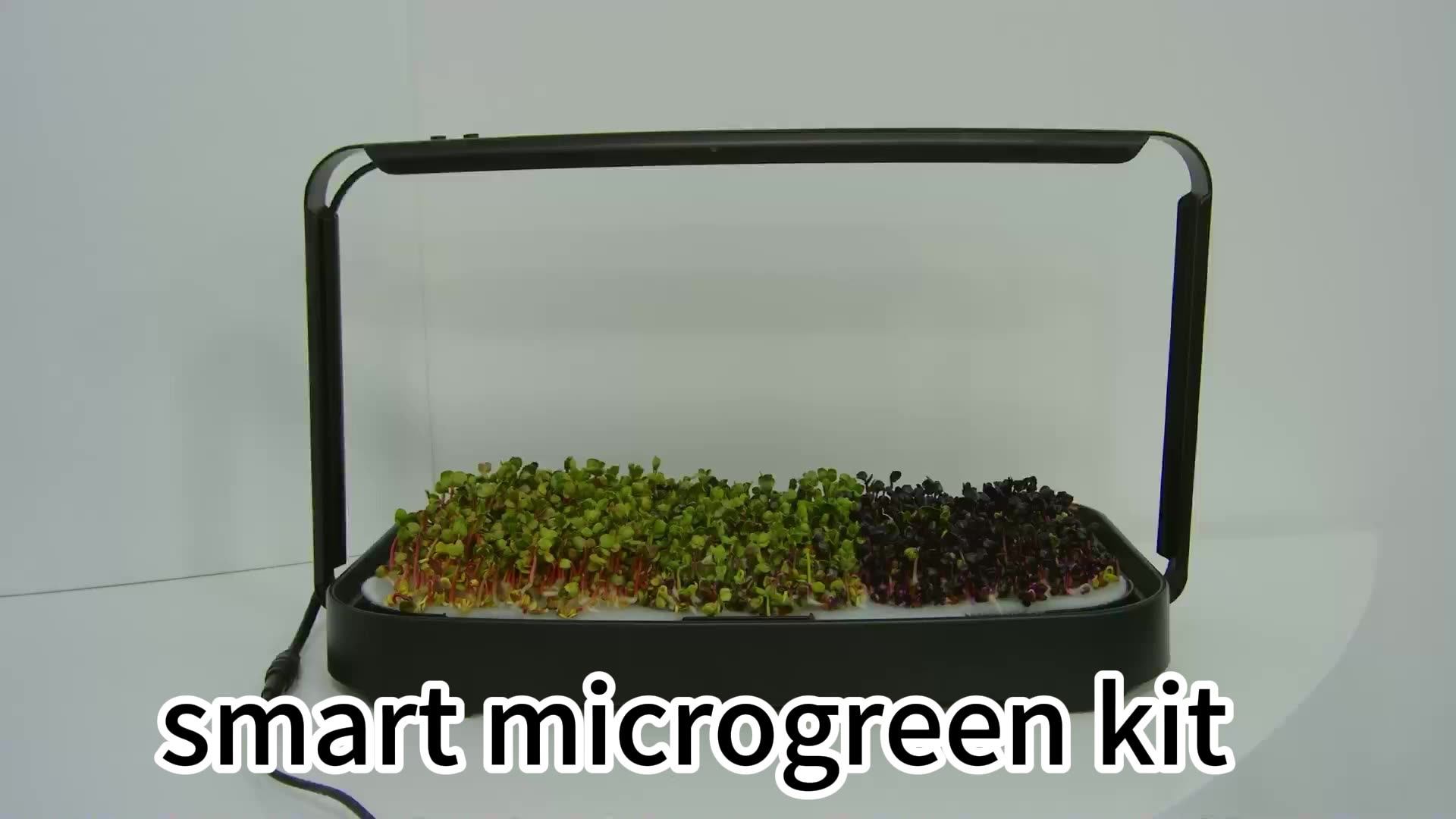 Hydroponics Herb Growing System Seedlings Microgreens Tray Kit For ...