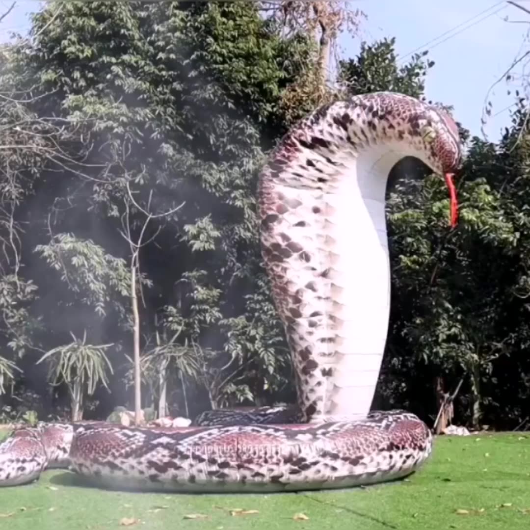 Giant Inflatable Animals Snake Replicas Cheap Large Inflatable Big Eye ...