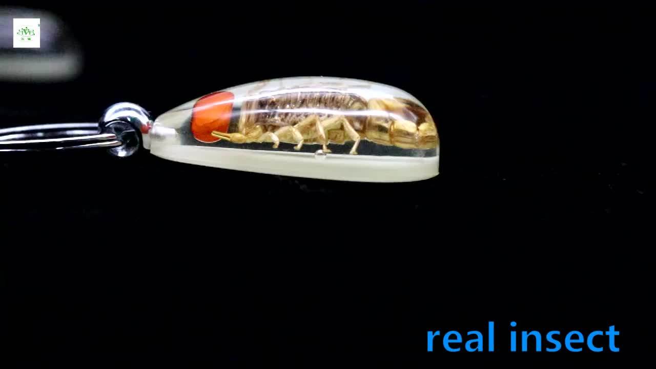 High Quality Resin Key Chain Glow In Dark Keychain Cicada Cricket Crab ...