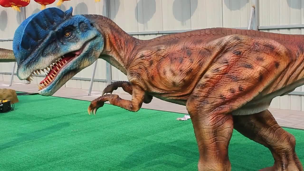 Animatronic Life Size Real Dinosaur Model For Park - Buy Real Dinosaur ...